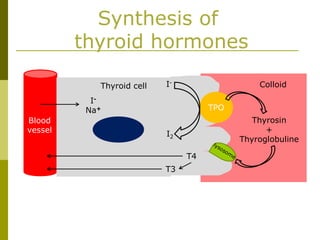 The diseases of thyroid.ppt