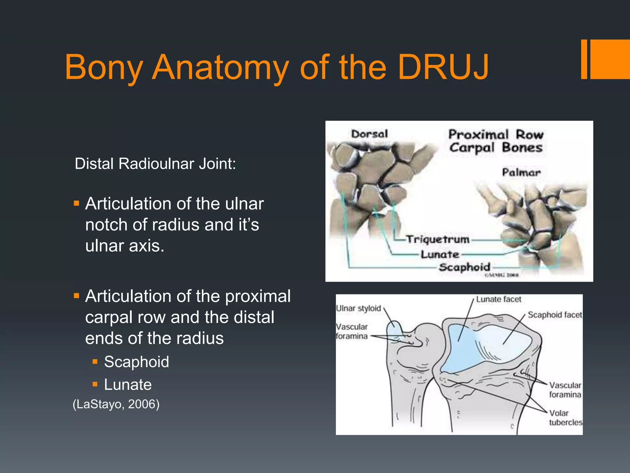 The distal radioulnar joint and tfcc | PPTX