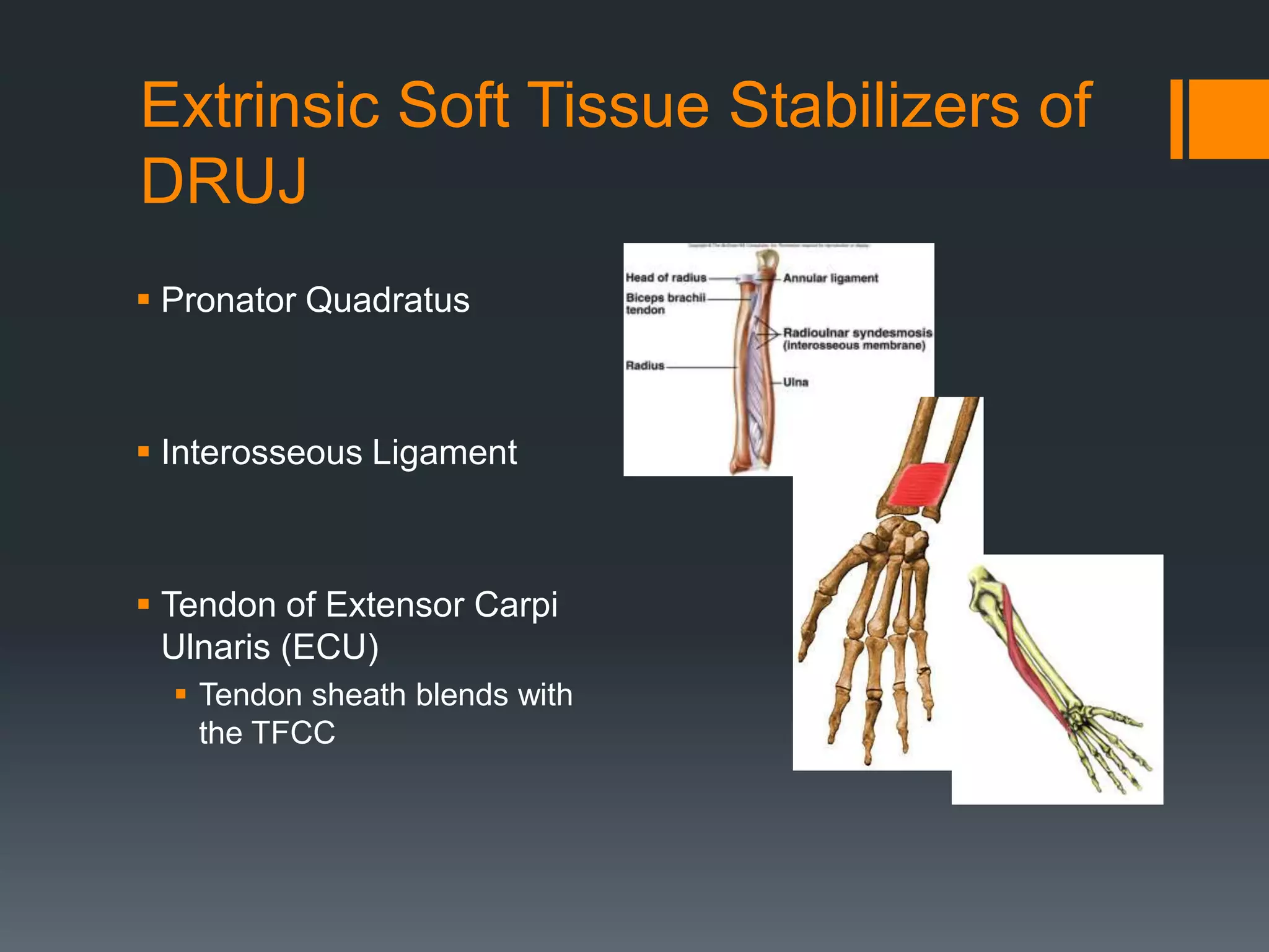 The distal radioulnar joint and tfcc | PPTX