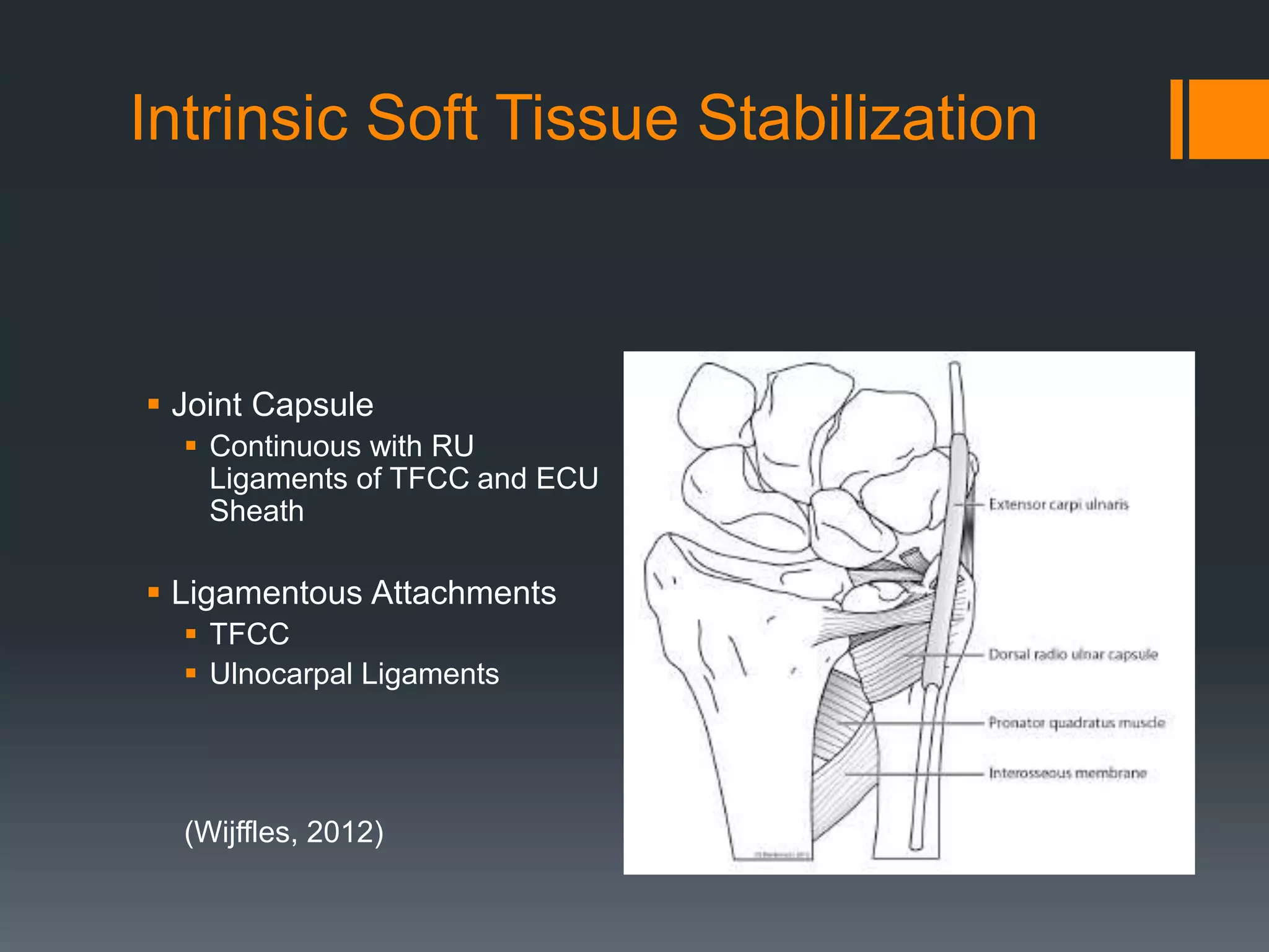 The distal radioulnar joint and tfcc | PPTX