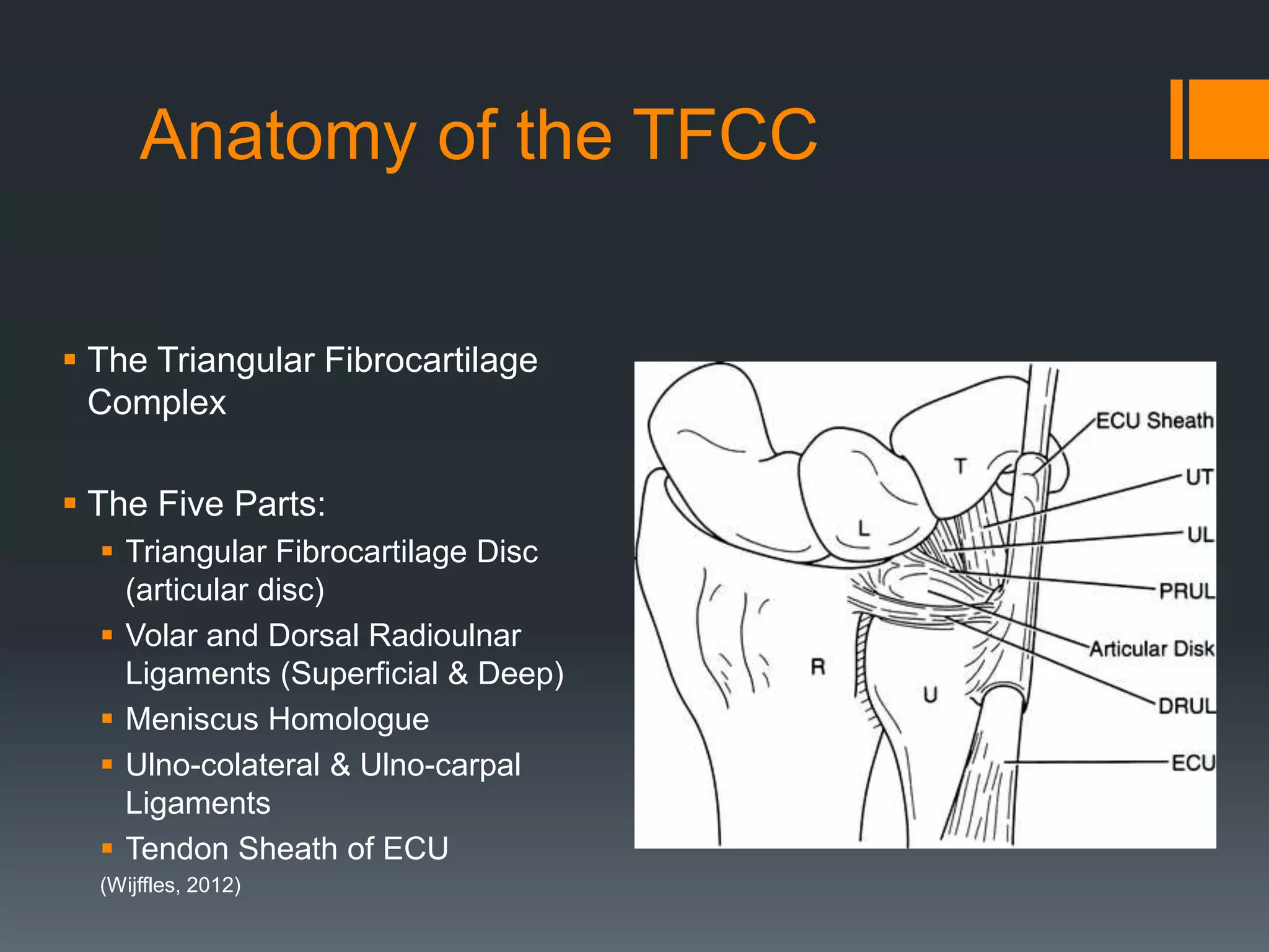 The distal radioulnar joint and tfcc | PPTX