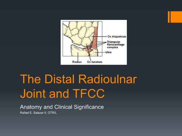The distal radioulnar joint and tfcc | PPTX