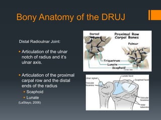 The distal radioulnar joint and tfcc | PPTX