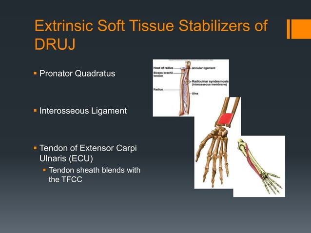 The distal radioulnar joint and tfcc | PPTX