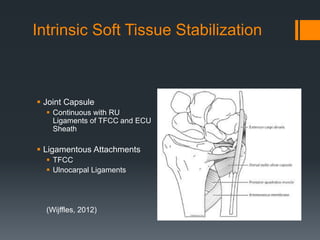 The distal radioulnar joint and tfcc | PPTX