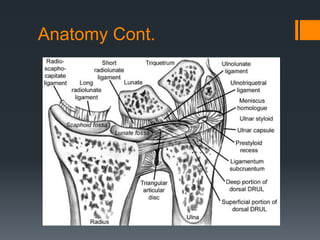 The distal radioulnar joint and tfcc | PPTX