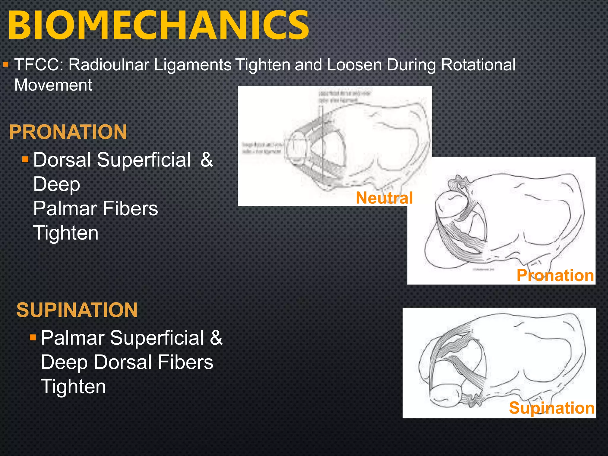 THE DISTAL RADIOULNAR JOINT AND TFCC.pptx