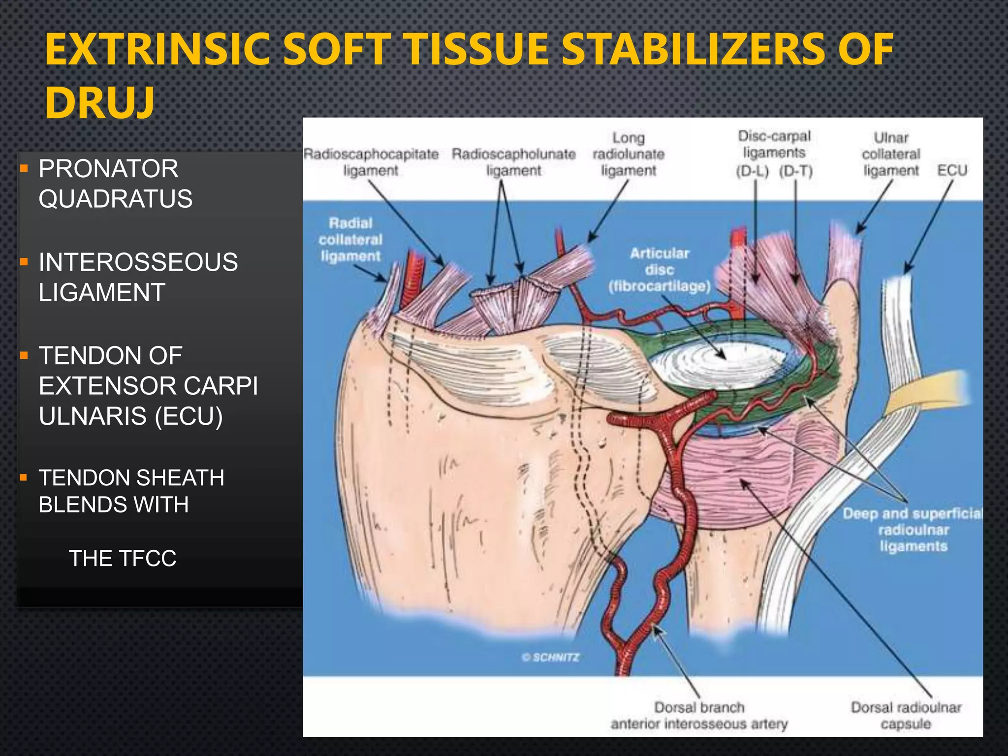 THE DISTAL RADIOULNAR JOINT AND TFCC.pptx