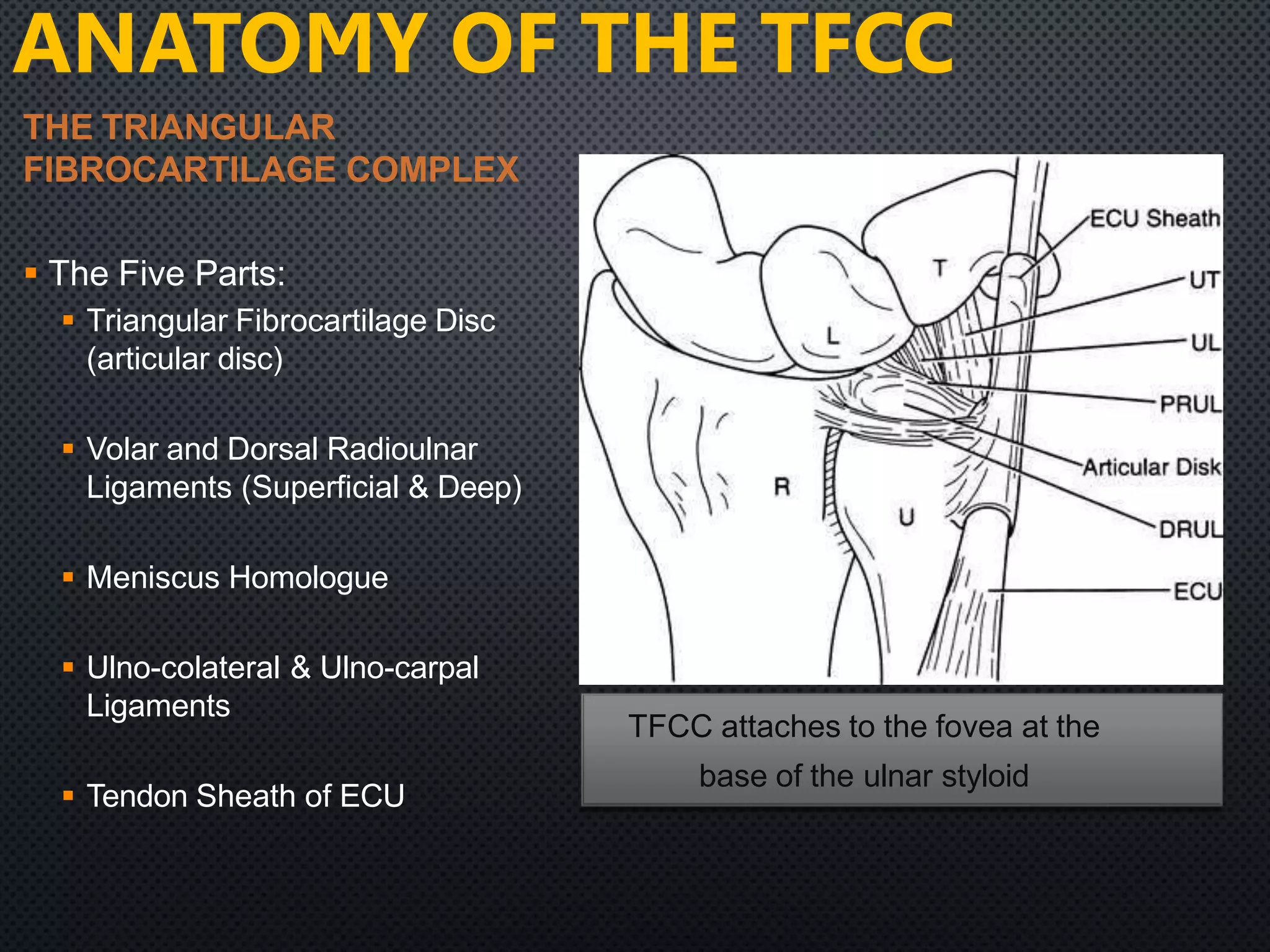THE DISTAL RADIOULNAR JOINT AND TFCC.pptx