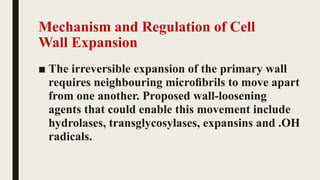 The distingushing features of plant cell | PPTX