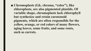 The distingushing features of plant cell | PPTX