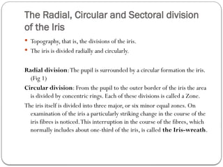 the division of iris .pptxdividion of iris | PPT