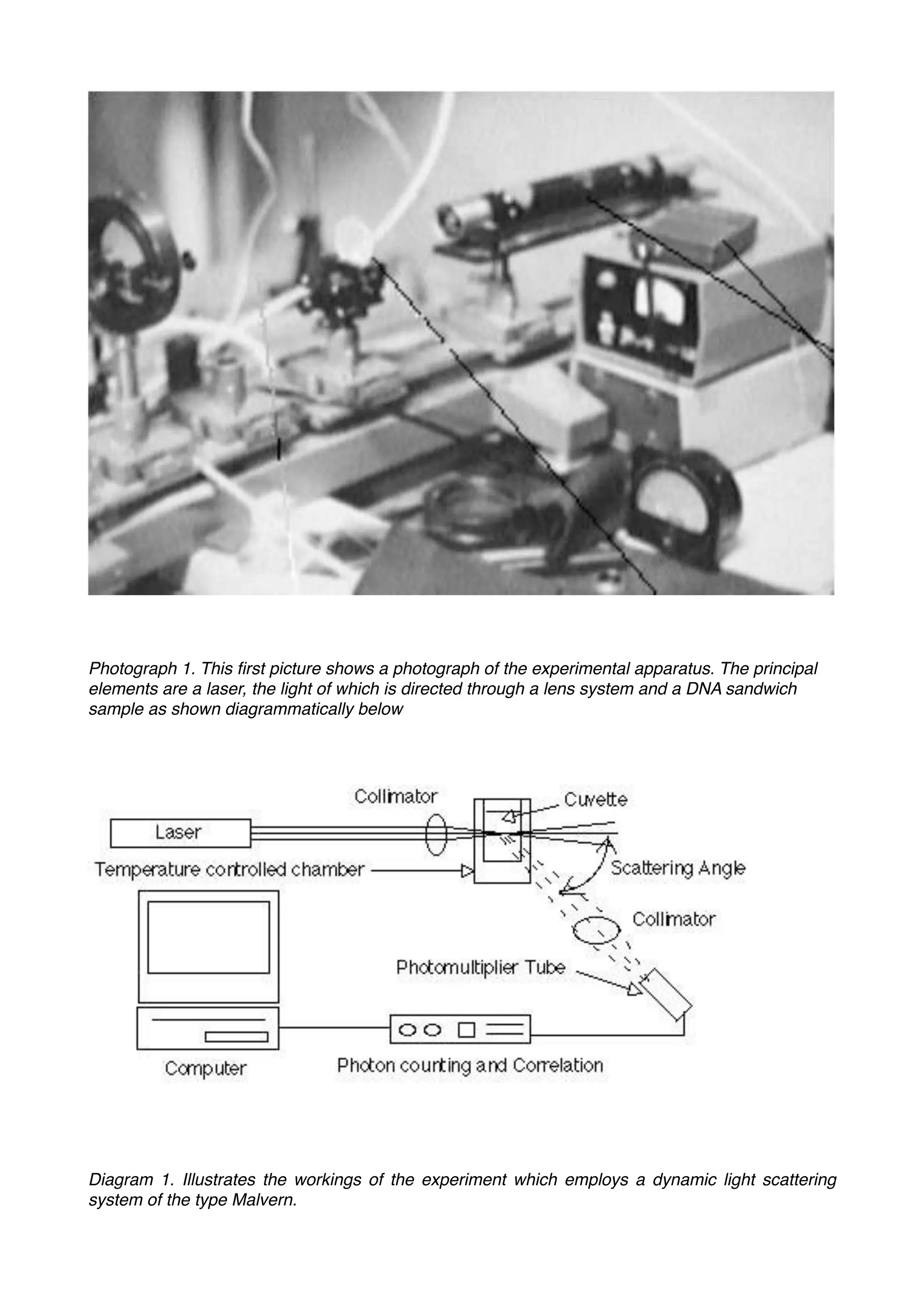 The Phantom-DNA wave P. Garjajev - V. Poponin | PDF