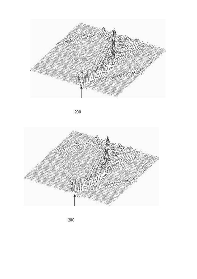 The Phantom-DNA wave P. Garjajev - V. Poponin | PDF