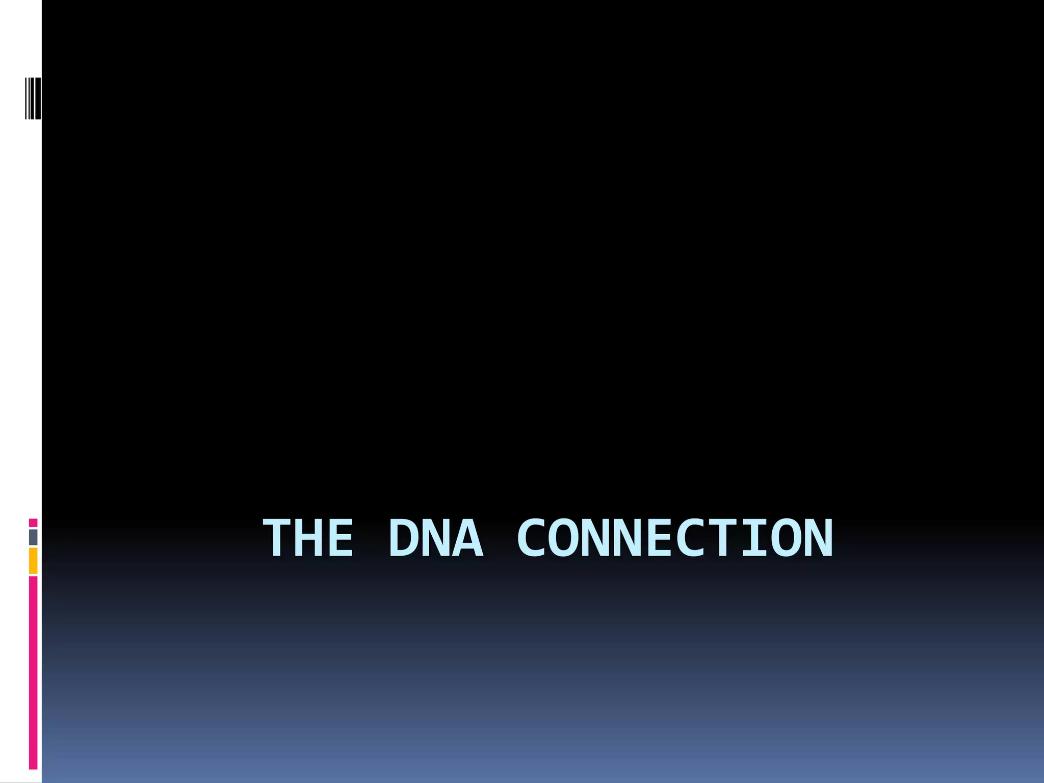 The dna connection powerpoint | PPTX