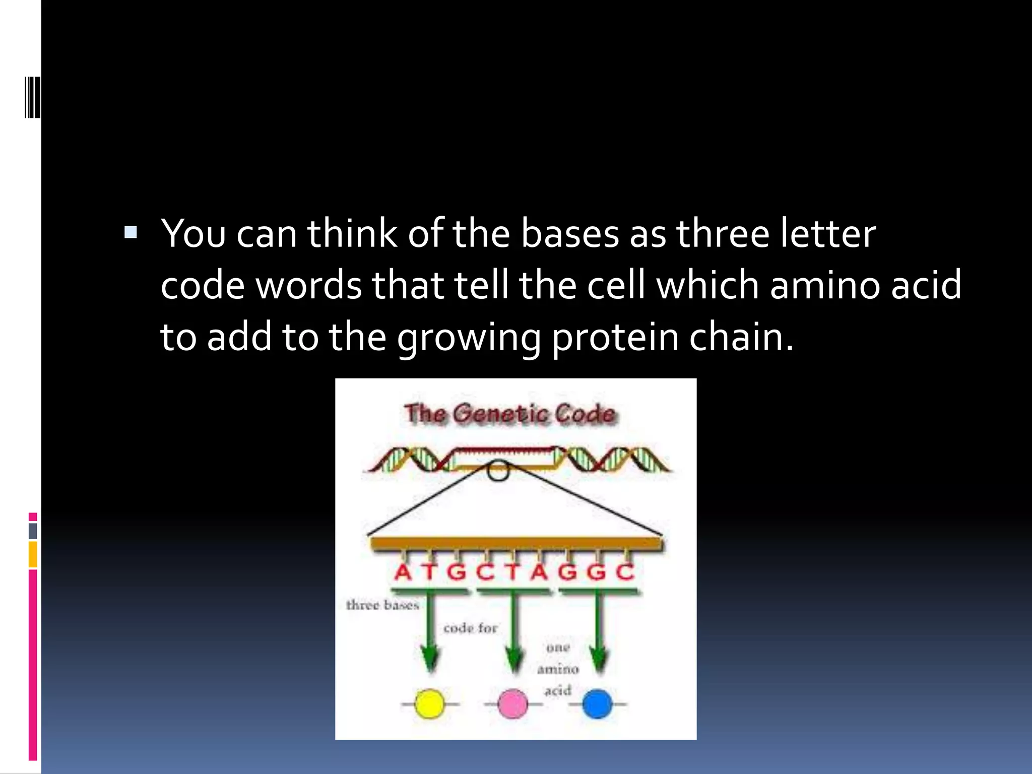 The dna connection powerpoint | PPTX