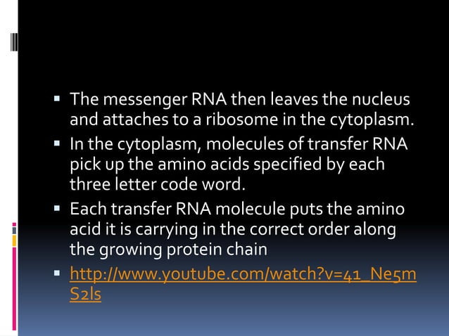 The dna connection powerpoint | PPTX