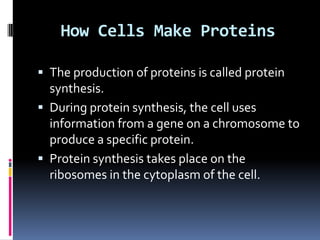 The dna connection powerpoint | PPTX