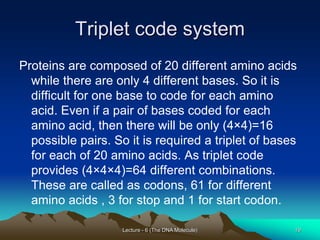 (The DNA Molecule)2.ppt