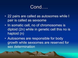 (The DNA Molecule)2.ppt