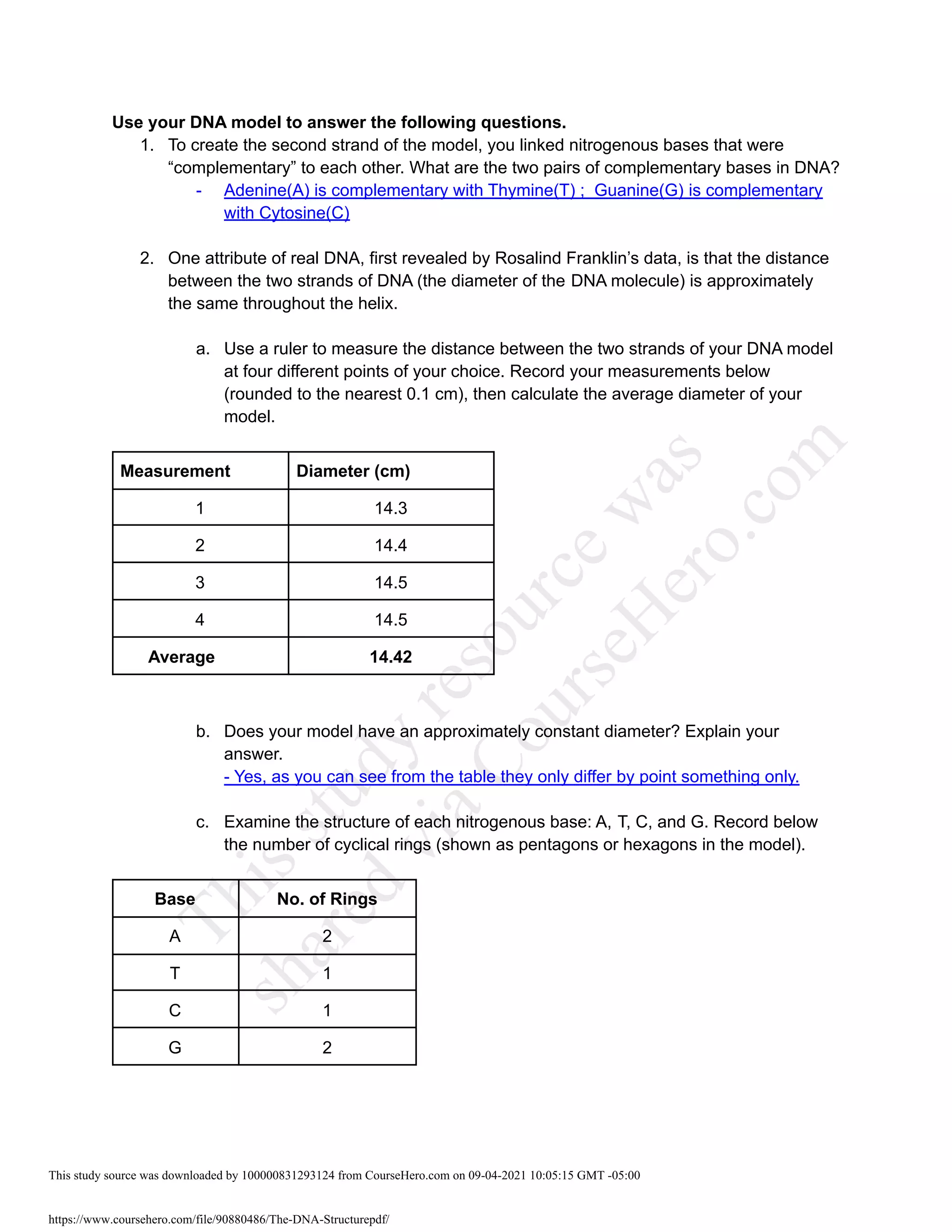The dna structure.pdf