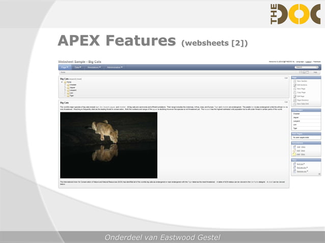 The DOC - Oracle APEX features | PPT