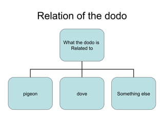 The dodo | PPT