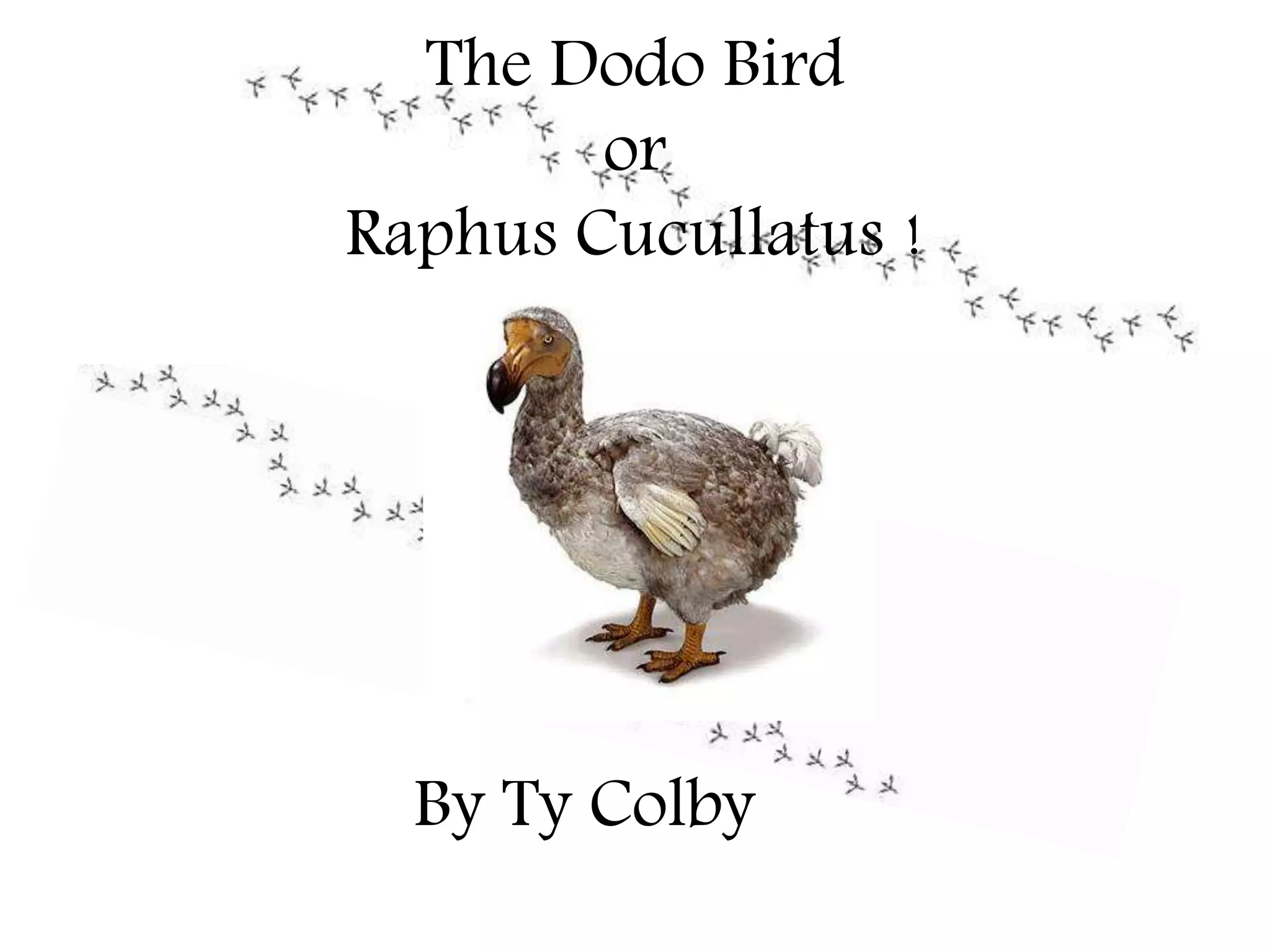 The dodo bird | PPTX