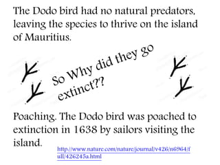 The dodo bird | PPTX