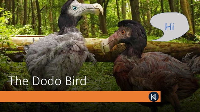 The Dodo Bird | PPTX