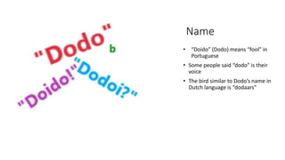 The Dodo Bird | PPTX