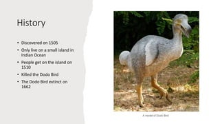The Dodo Bird | PPTX