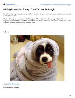 40 Dog Photos So Funny I Dare You Not To Laugh | PDF