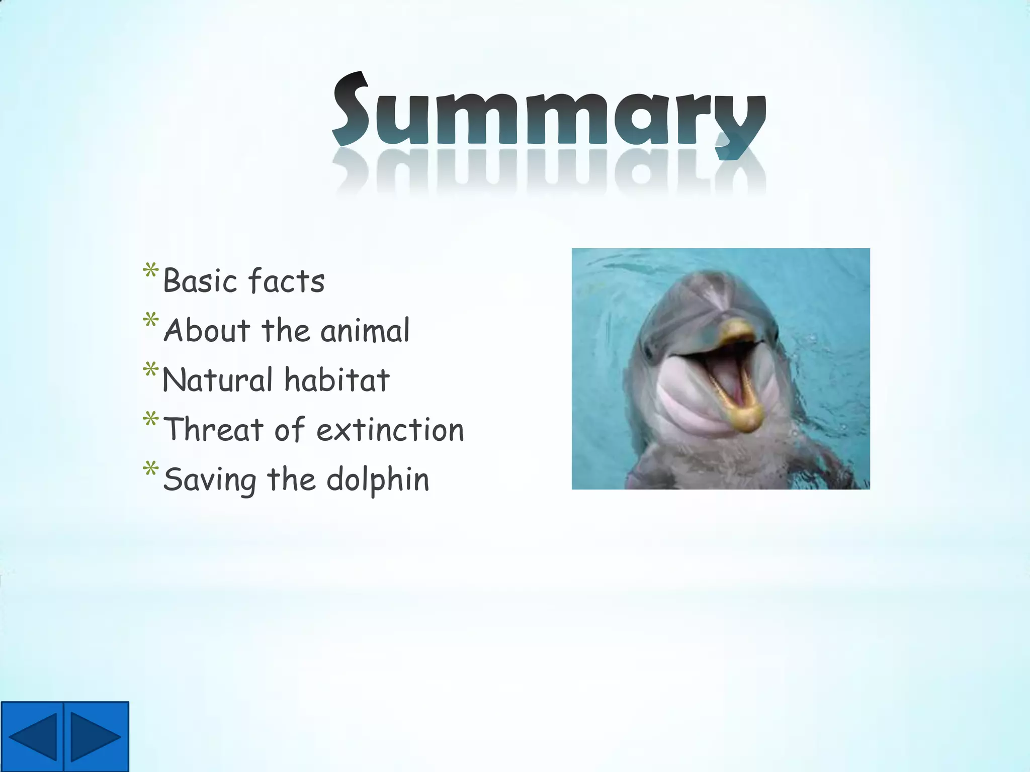 The dolphin | PPTX