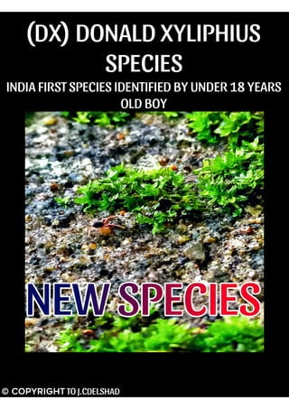 THE DONALD XYLIPHIUS (DX) SPIDER.pdf