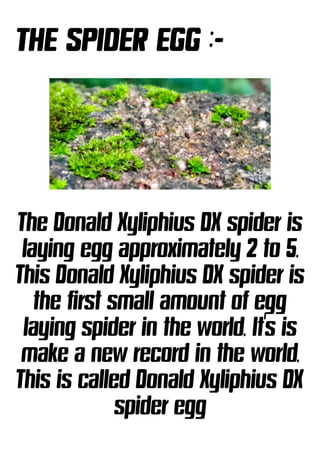 THE DONALD XYLIPHIUS (DX) SPIDER.pdf