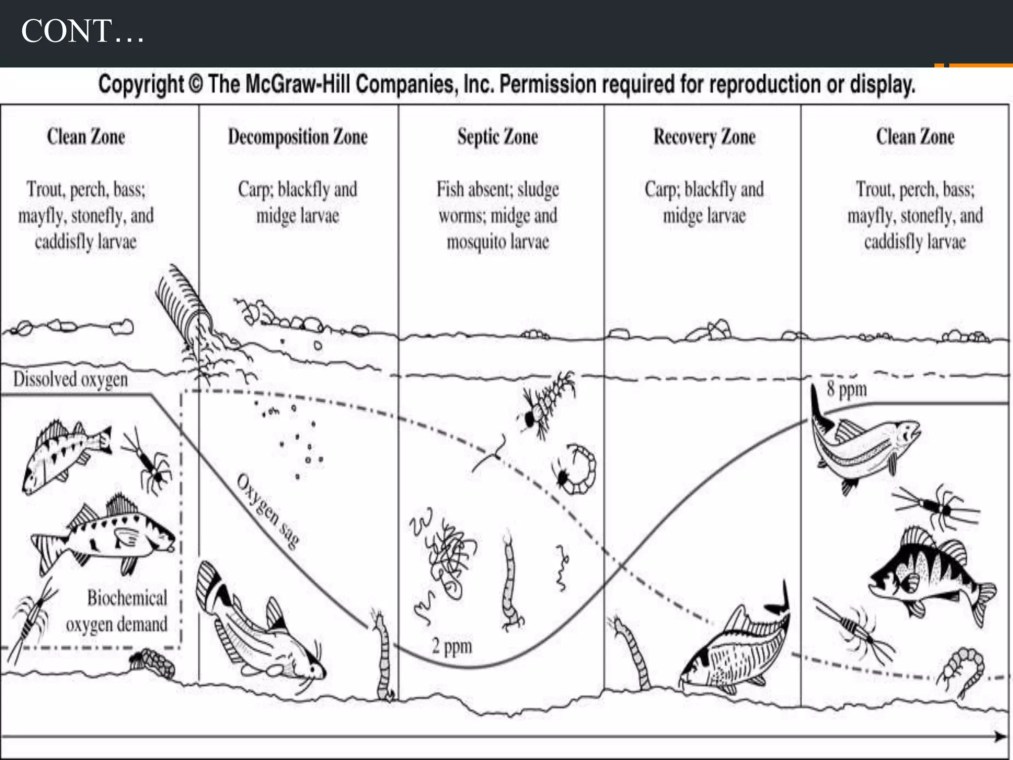 The do sag curve and the streeter phelps equation | PPTX