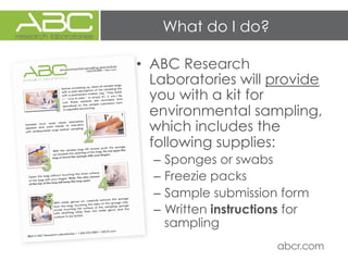 The Dos and Don'ts of Environmental Sampling | PDF