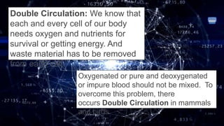 The Double Circulation System.pptx