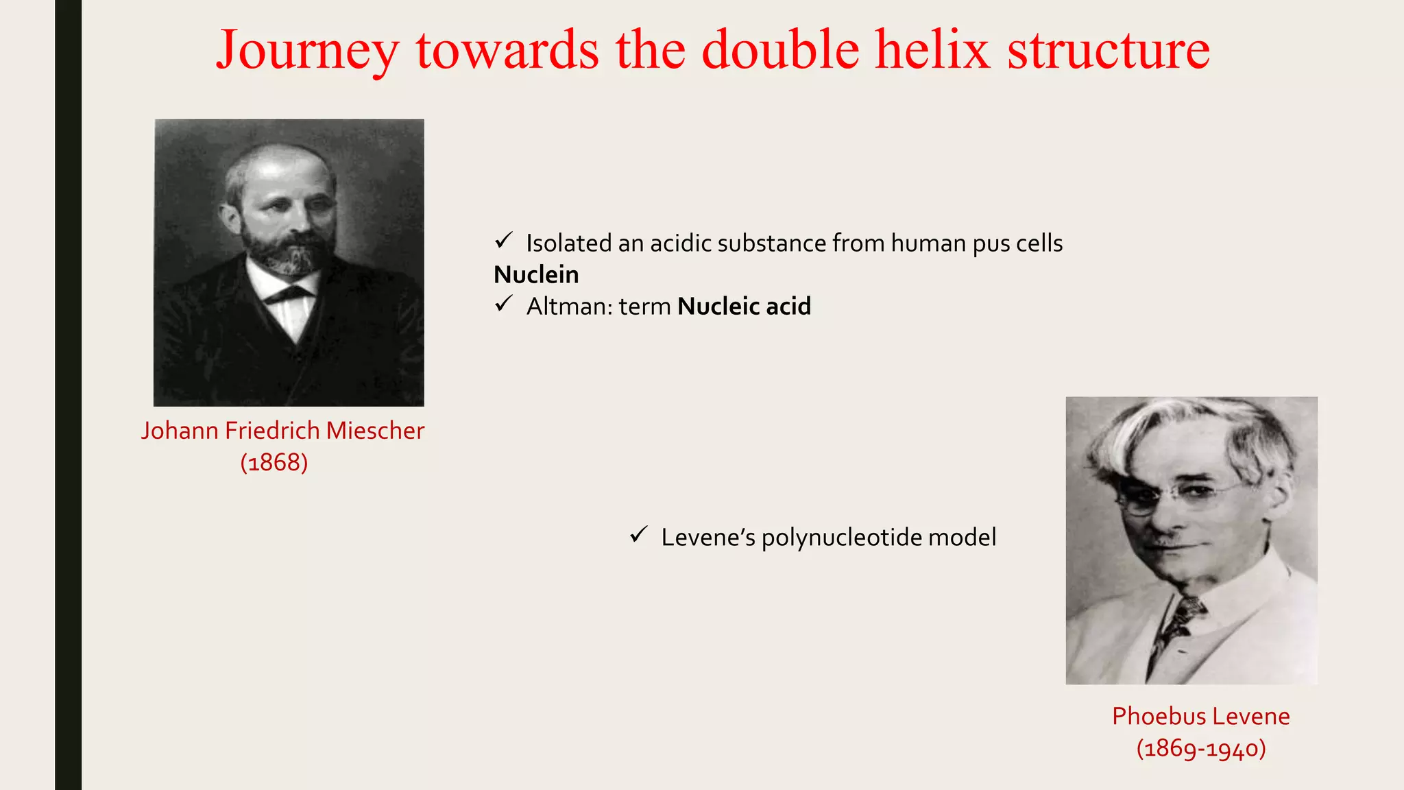 The double helix | PPT