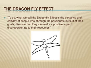 The Dragonfly Effect | PPTX