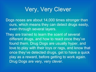 The Drug Dogs Visit | PPT