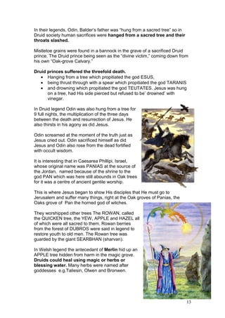 The druidism root and its fruits | PDF