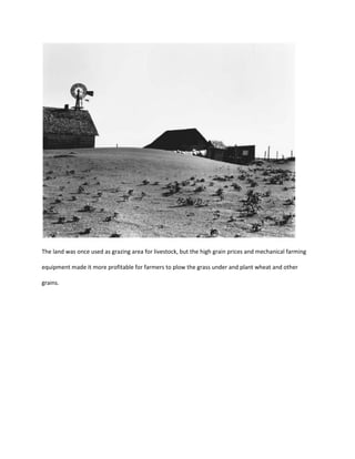 The dust bowl | PDF