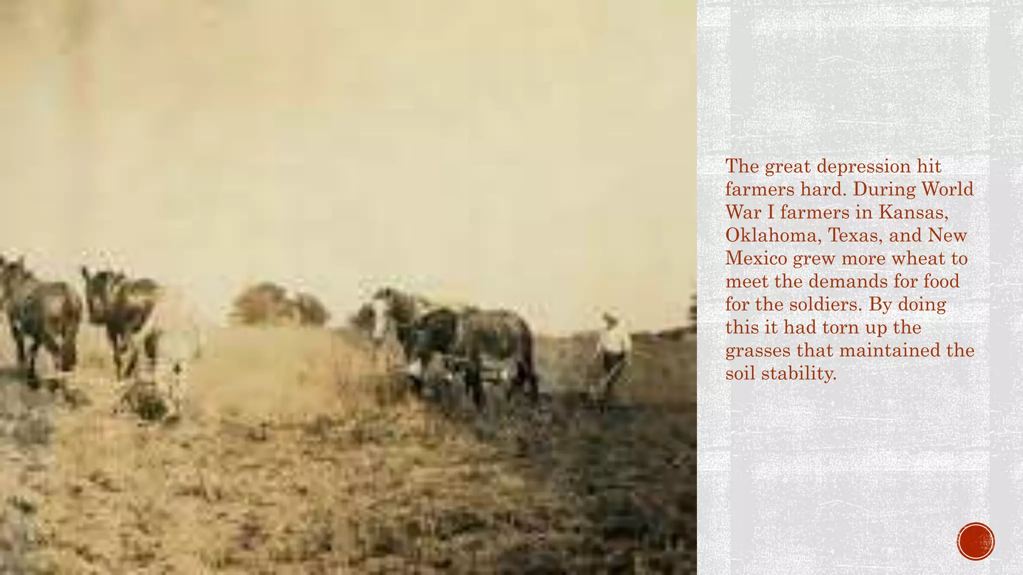 The dust bowl | PPTX