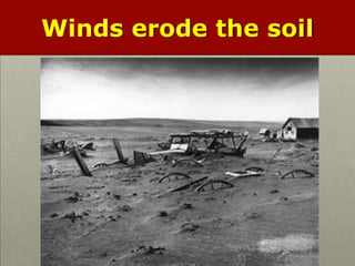 The Dust Bowl ppt | PPTX