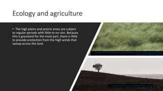 The dust bowl, then and now | PPTX