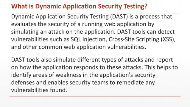 The Dynamic Application Security Testing Process A Step-by-Step Guide.pptx