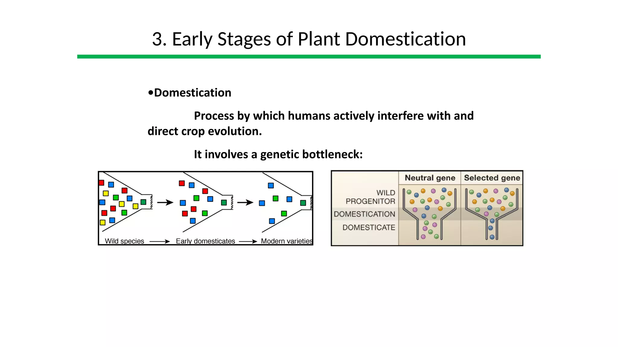 The dynamics of plant domestication.pdf