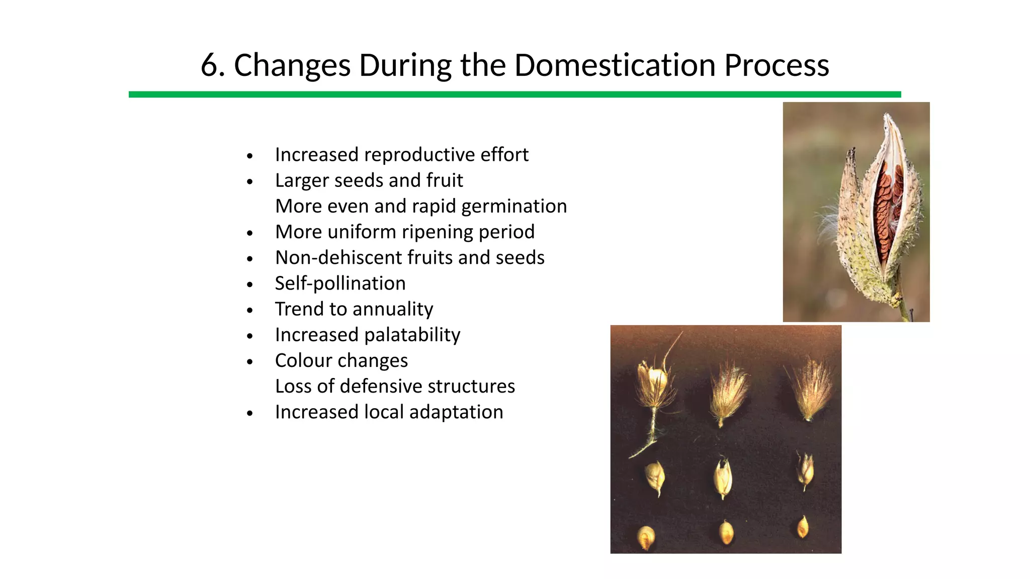 The dynamics of plant domestication.pdf